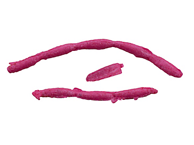 Мягкие приманки Berkley Gulp!® Euro Larvae Pink купить в интернет ...